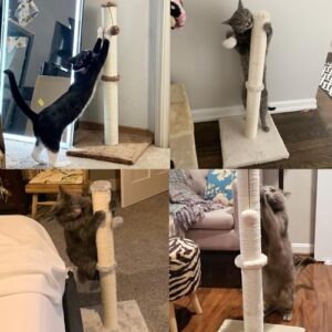 Dimaka 29" Tall Cat Scratching Post for indoor Cats and Kittens, Cat Activity Scratcher Premium Sisal Rope Scratch Tree with Dangling Ball (Grey)