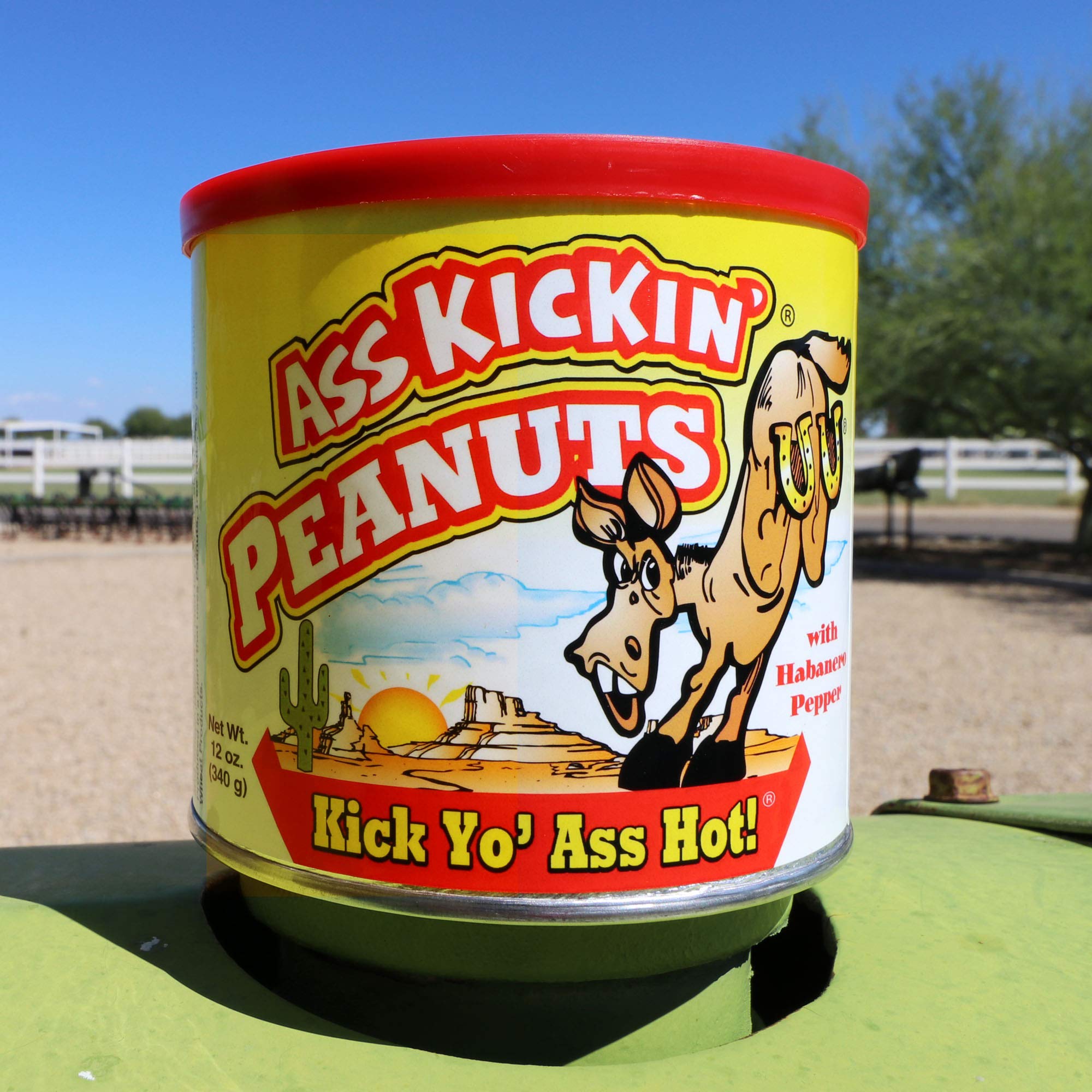 ASS KICKIN’ Habanero Pepper Spicy Hot Peanuts – 12oz - Ultimate Spicy Gourmet Gift Peanuts - Try if you dare! 3 Cans