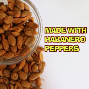 ASS KICKIN’ Habanero Pepper Spicy Hot Peanuts – 12oz - Ultimate Spicy Gourmet Gift Peanuts - Try if you dare! 3 Cans