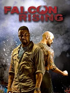 falcon rising