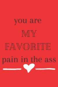 you are my favorite pain in the ass notebook: funny valentines day gift for him or her