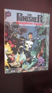 the punisher: kinigdom gone