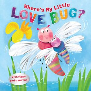 where's my little love bug?: a mirror book