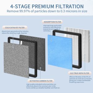 HJ-H23 Replacement Filter Compatible with Hejiko Air Puri-Fier Replacement Filters HJ-H23, H23 Replacement Filter H13 True HEPA with Adsorption Filter, Carbon with Cold Catalyst Filter, 2-Set