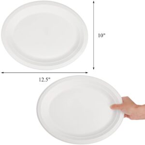 Elsjoy 90 Pack Compostable Oval Paper Plates, 12.5 Inch Sugarcane Dinner Plates, Large Disposable Plates Biodegradable Platters, for Restaurant, BBQ, Parties, Breakfast, Microwave Safe