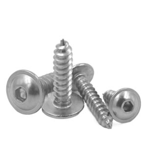 chanwa 10pcs 304 stainless steel pan head hexagon socket pad self-tapping screws with round head hexagon socket pad hexagon socket screws (size : m5*12)