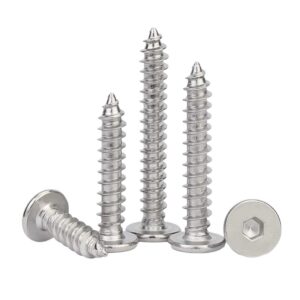 rawars hexagon socket screws 10pcs 304 stainless steel ultra-thin large flat head self-tapping screws flat head self-tapping screws thin flat head hexagonal self-tapping screws (size : m5*12)