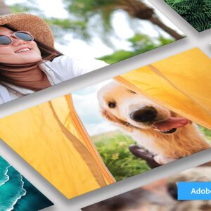 Adobe | Photoshop Elements 2024 | Windows PC Code | Software Download | Photo Editing [PC Online code]