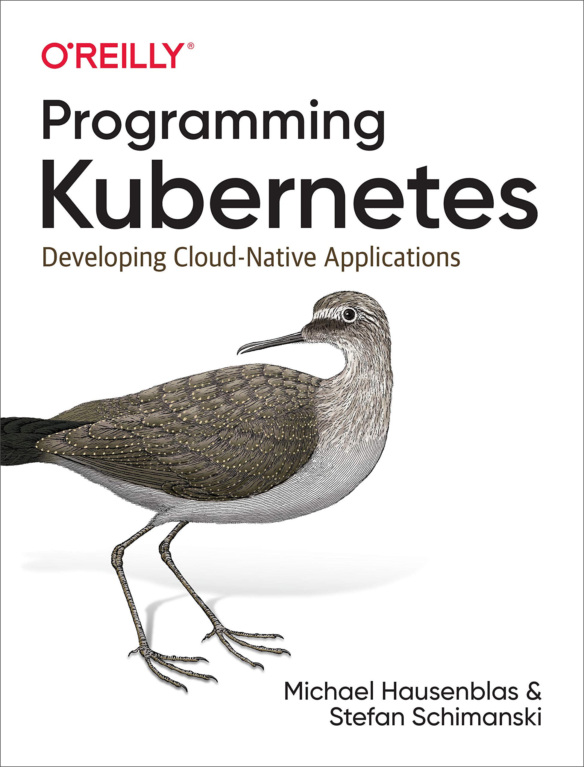 Programming Kubernetes: Developing Cloud-Native Applications