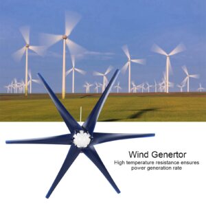 800W Wind Generator Kit 6 Blade Industrial Machinery Machine Professional Wind Turbines Small Windmill Generator (blue 24V)