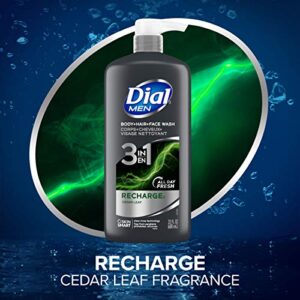 Dial Men 3in1 Body, Hair and Face Wash, Recharge, 69 fl oz (3-23 fl oz Bottles)