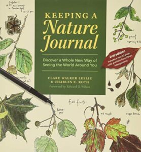 keeping a nature journal: discover a whole new way of seeing the world around you