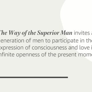 The Way of the Superior Man: A Spiritual Guide to Mastering the Challenges of Women, Work, and Sexual Desire (20th Anniversary Edition)