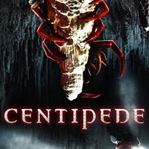 Centipede