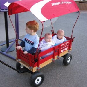 Radio Flyer Wagon Canopy