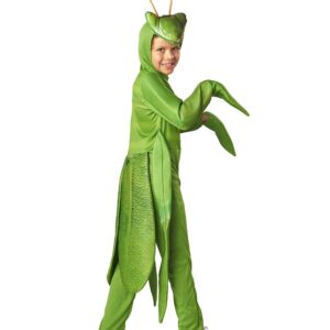 Seasons Child Praying Mantis Costume (L(10-12))