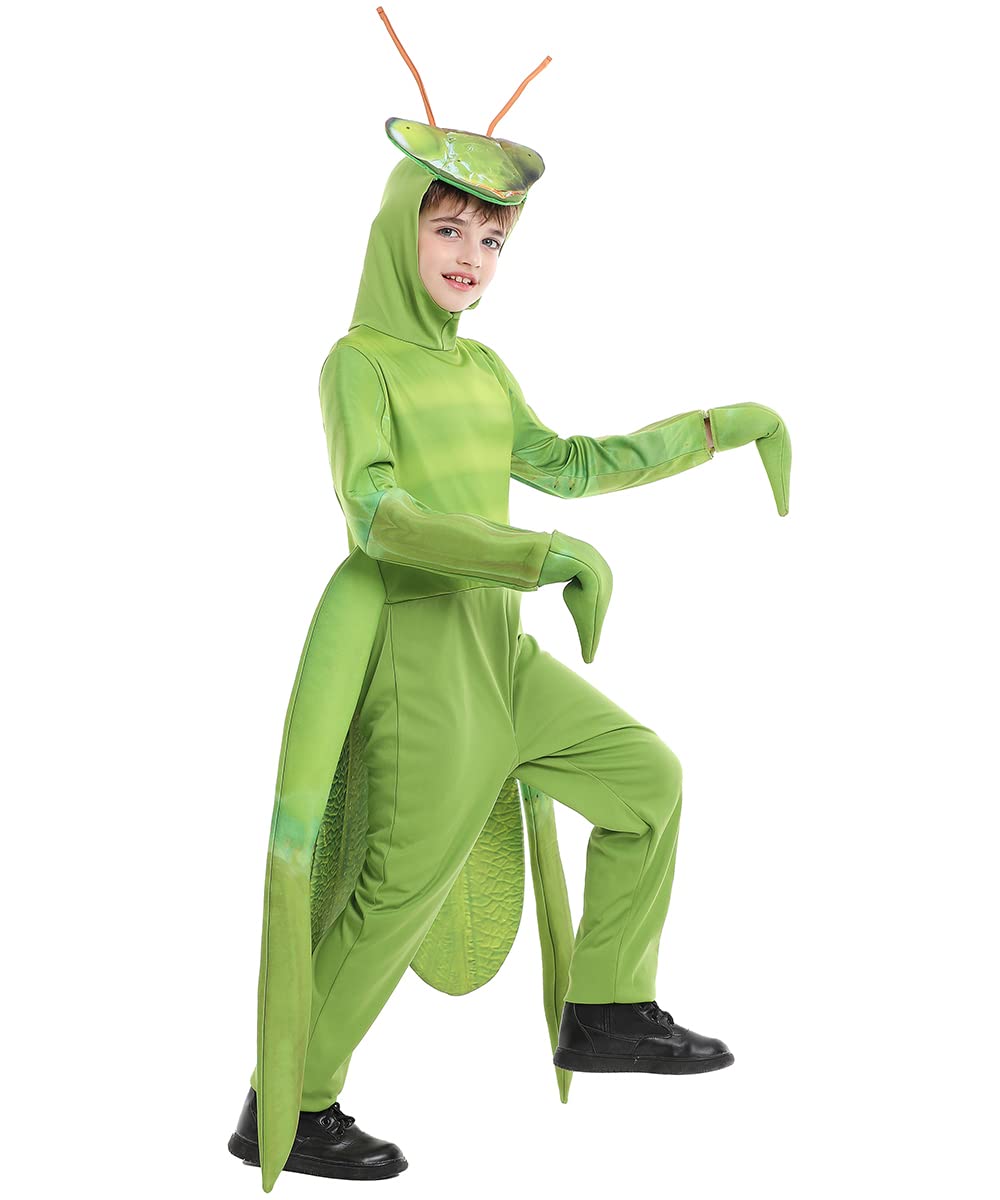 Seasons Child Praying Mantis Costume (L(10-12))