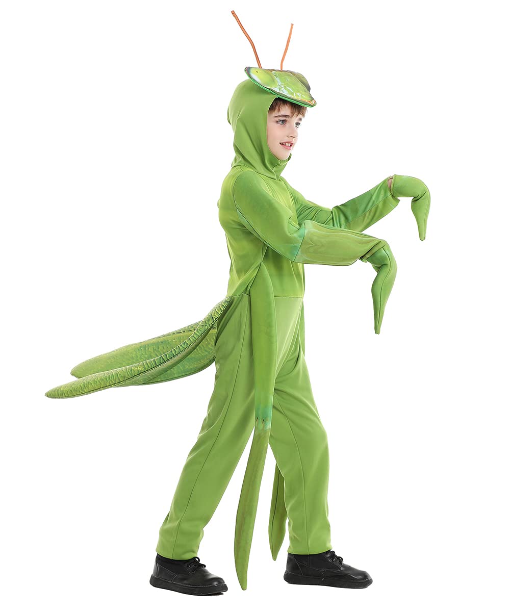 Seasons Child Praying Mantis Costume (L(10-12))