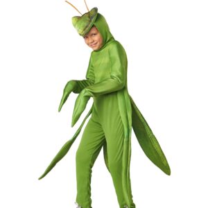 Seasons Child Praying Mantis Costume (L(10-12))