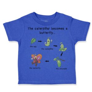 custom toddler t-shirt how a caterpillar becomes butterfly hungry cotton boy & girl clothes funny graphic tee royal blue design only 5 6t