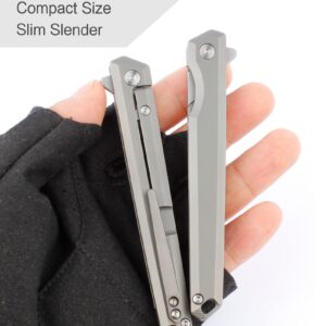 ainhue A42 Compact Slim Flipper Folding Pocket Scalpel Knife, 20pcs Replaceable Blades, 4.2 inches Slender Grey TC4 Titanium Handle Frame Lock Pocket Clip, Lanyard Hole for EDC Gentleman's Knife