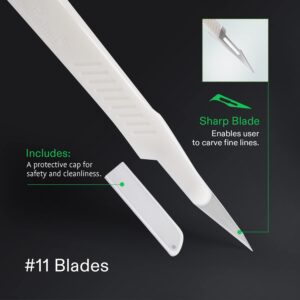 VIVOSUN #11 High-Carbon Steel Blades for Cutting Plants and Propagation