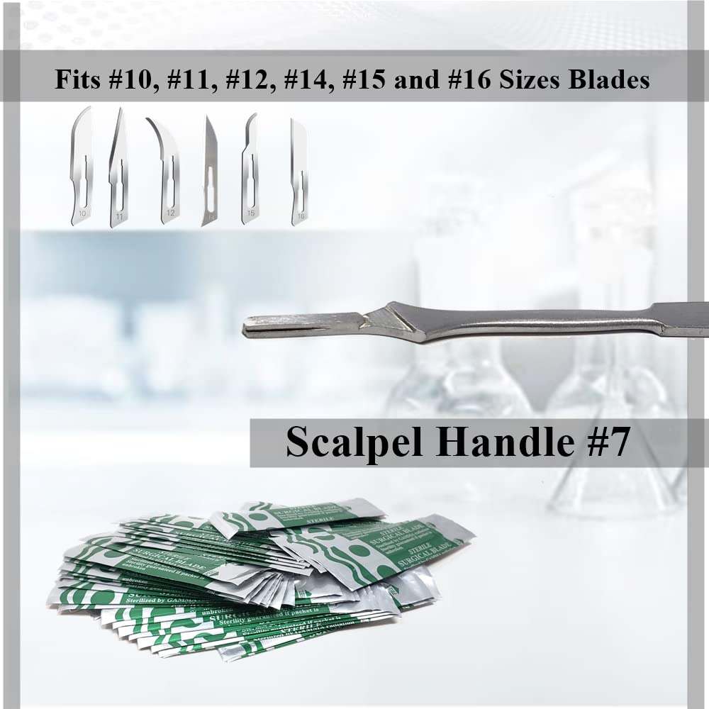 Scalpel Handle #7 Stainless Steel Knife, Blade Holder with Slim Long Handle Fits Blades No 10-16 for Precise Cutting, Student Educational-Use Biology Labs, DIY Crafts, Model Making, Repairs + More