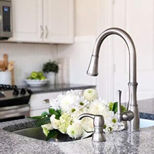 Pfister Wheaton Kitchen Faucet with Pull Down Sprayer and Soap Dispenser, Single Handle, High Arc, Stainless Steel Finish, GT529WH1S, Large