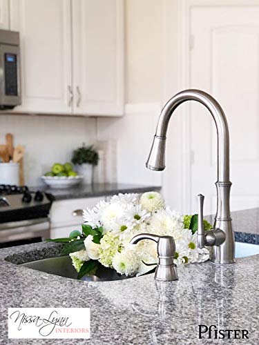 Pfister Wheaton Kitchen Faucet with Pull Down Sprayer and Soap Dispenser, Single Handle, High Arc, Stainless Steel Finish, GT529WH1S, Large