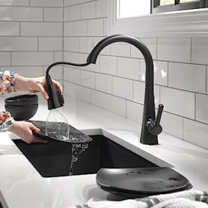 Delta Faucet Lenta Pull Down Kitchen Faucet Black, Soap Dispenser Included, Kitchen Sink Faucet, Faucet for Kitchen Sink with Magnetic Docking Spray Head, Matte Black 19802Z-BL-DST