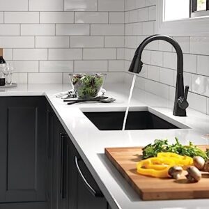 Delta Faucet Lenta Pull Down Kitchen Faucet Black, Soap Dispenser Included, Kitchen Sink Faucet, Faucet for Kitchen Sink with Magnetic Docking Spray Head, Matte Black 19802Z-BL-DST