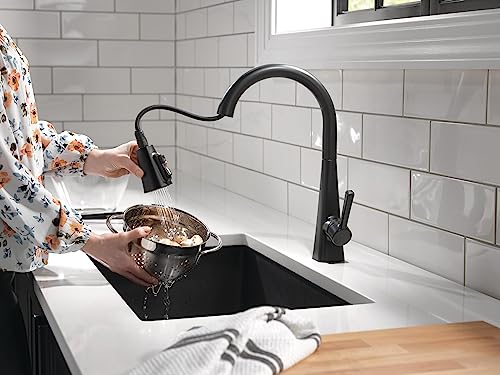 Delta Faucet Lenta Pull Down Kitchen Faucet Black, Soap Dispenser Included, Kitchen Sink Faucet, Faucet for Kitchen Sink with Magnetic Docking Spray Head, Matte Black 19802Z-BL-DST