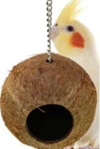 Natural 5.1'' Coconut Shell Bird Nest House Hut for Pet Parrot Cage Seed Feeder Toy Nesting Box (Natural Surface)