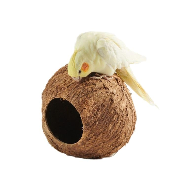 Natural 5.1'' Coconut Shell Bird Nest House Hut for Pet Parrot Cage Seed Feeder Toy Nesting Box (Natural Surface)