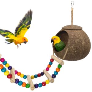 hanging coconut bird house with ladder,natural coconut fiber shell bird nest for parrot parakeet lovebird finch canary,coconut hide bird swing toys for hamster,bird cage accessories,pet bird supplies