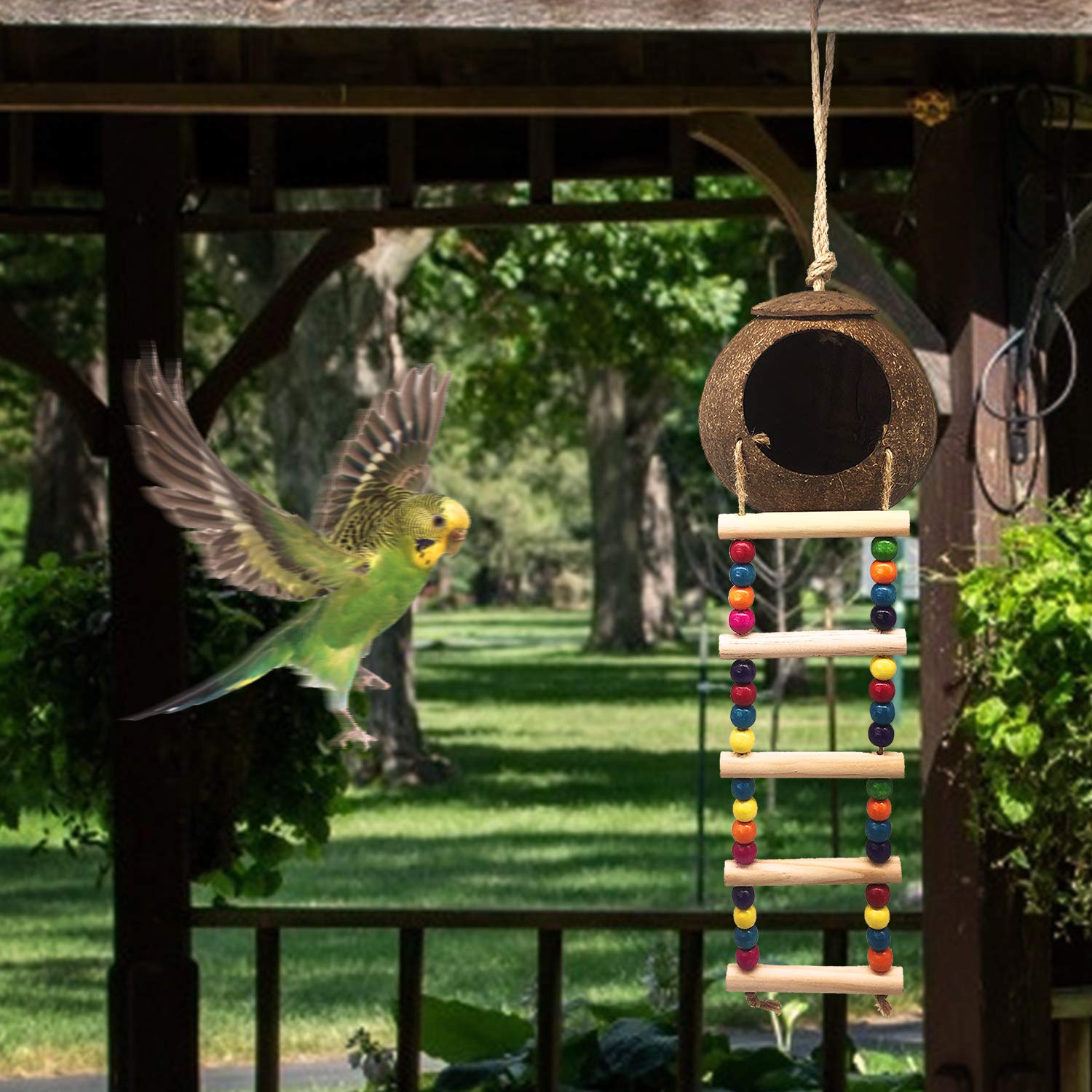 Hanging Coconut Bird House with Ladder,Natural Coconut Fiber Shell Bird Nest for Parrot Parakeet Lovebird Finch Canary,Coconut Hide Bird Swing Toys for Hamster,Bird Cage Accessories,Pet Bird Supplies