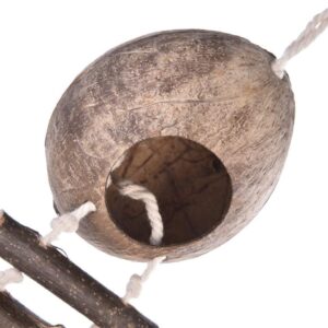 Natural Coconut Shell with Wood Ladder Bird Breeding Nest Bed Perch Swing Toy for Parrot Budgie Parakeet Cockatiel Conure Lovebird Canary Finch Small Parrot Hamster Rat Chinchilla Cage