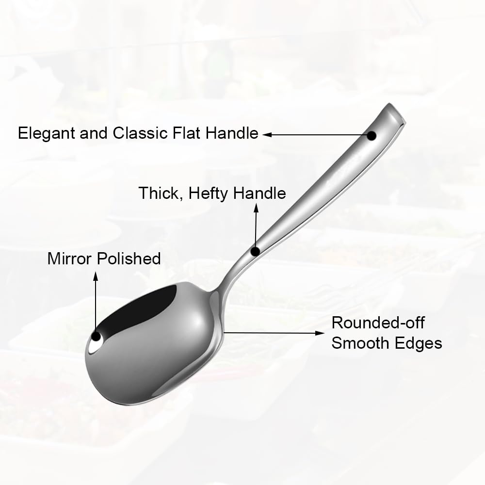 TXHLYX Serving Spoon,316L Premium Stainless Steel Large Heavy duty Serving Spoon for Buffet,Dishwasher Safe 9.5 x 2.8''