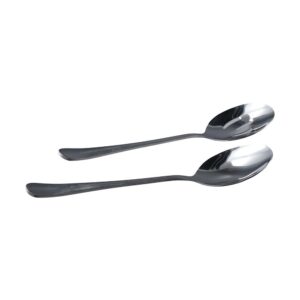 hobbyme 6 Pcs Spoons Set, Includes 3 Slotted Spoons and 3 Serving Spoons,Utility Advanced Performance Stainless Steel Spoons for Buffet and Cooking