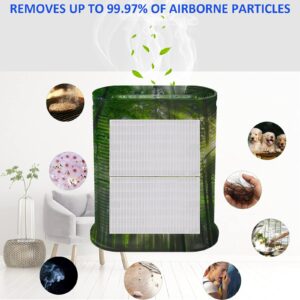 6 Pack Replacement HEPA Filters for Honeywell HPA300 HPA200 HPA100 Air Purifiers - Compatible with HPA300 HPA090 HPA250 Series - Filter R HRF-R3 HRF-R2 HRF-R1 - Honeywell HEPA Air Purifier Filter Kit