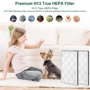 NXBHG HE601 HEPA Replacement Filter for Shark HE6FKPET HE601 HE602 6 Fan Air Purifier, H13 3-in-1 Filter System - Absorbs 99.97% Particulates, Part # HE6FKPET, HE6FKBAS, HE6FKPRO, 2 Pack