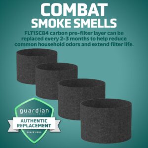 GermGuardian Filter V Smoke Clear HEPA Genuine Air Purifier Replacement Filter, Removes 99.97% of Pollutants, Smoke Toxins and Odors, for AirSafe Series and AC151, Black/Gray, FLT151SM