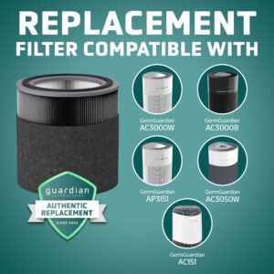 GermGuardian Filter V Smoke Clear HEPA Genuine Air Purifier Replacement Filter, Removes 99.97% of Pollutants, Smoke Toxins and Odors, for AirSafe Series and AC151, Black/Gray, FLT151SM