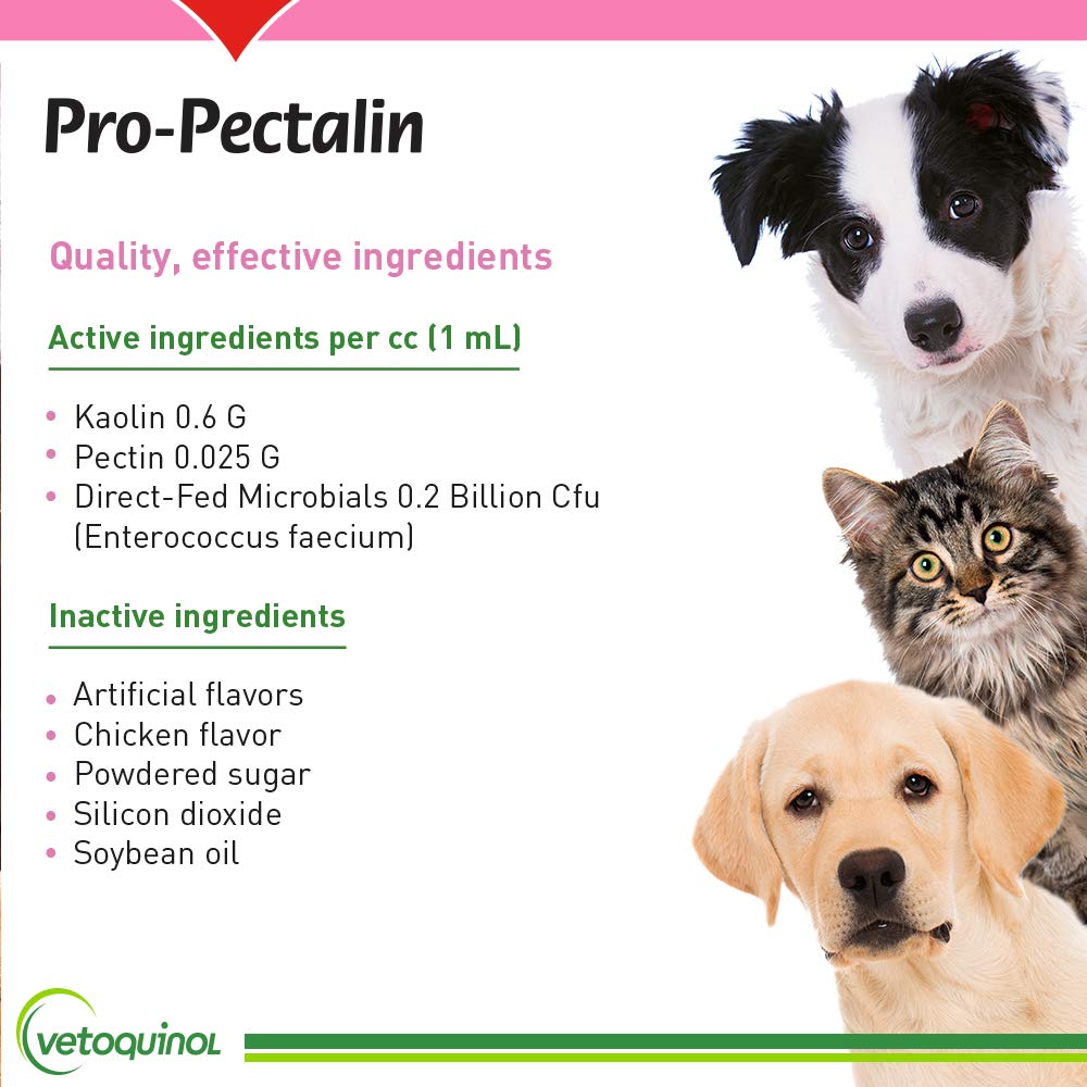 Vetoquinol Pro-Pectalin Oral Paste for Dogs & Cats – Chicken Flavor – Helps Reduce Occasional Loose Stool & Diarrhea, Balance Gut pH, Support Normal Digestion & Intestinal Flora