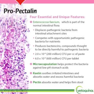 Vetoquinol Pro-Pectalin Oral Paste for Dogs & Cats – Chicken Flavor – Helps Reduce Occasional Loose Stool & Diarrhea, Balance Gut pH, Support Normal Digestion & Intestinal Flora