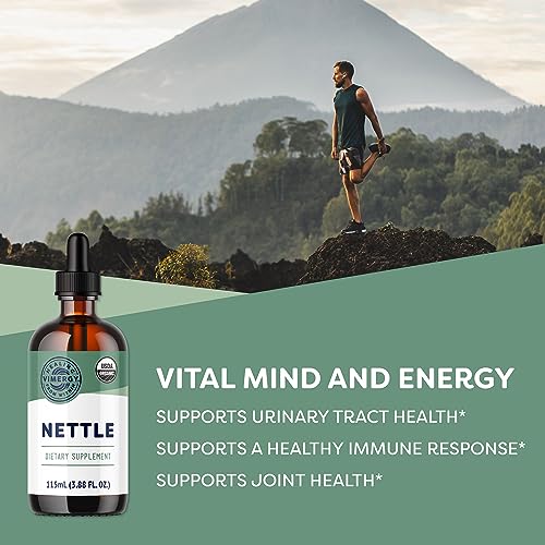 Vimergy Organic Nettle Leaf Extract, 57 Servings – Potent 10:1 Extract Liquid Drops – Supports Immune System Health – Supports Joint Health - USDA Organic, Gluten-Free, Non-GMO, Vegan & Paleo (115 ml)