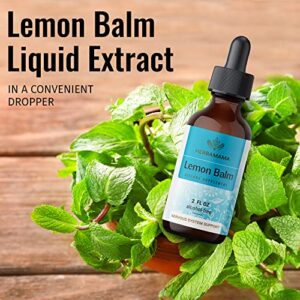 HERBAMAMA Lemon Balm Tincture - Organic Lemon Balm Herb Drops - Melissa Officinalis Liquid Extract - Vegan, Alcohol-Free - 2 fl oz