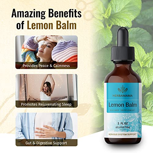 HERBAMAMA Lemon Balm Tincture - Organic Lemon Balm Herb Drops - Melissa Officinalis Liquid Extract - Vegan, Alcohol-Free - 2 fl oz