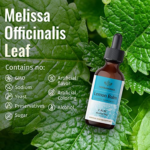 HERBAMAMA Lemon Balm Tincture - Organic Lemon Balm Herb Drops - Melissa Officinalis Liquid Extract - Vegan, Alcohol-Free - 2 fl oz