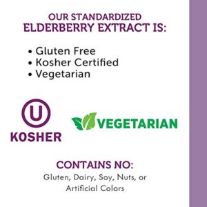 Nature's Way Sambucus Elderberry Immune Syrup for Kids Ages 2+, with Echinacea & Propolis, Daily Immune Support*, Vegetarian, Berry Flavored, 8 Fl Oz (Packaging May Vary)